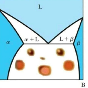 薛定谔能吃吗 
