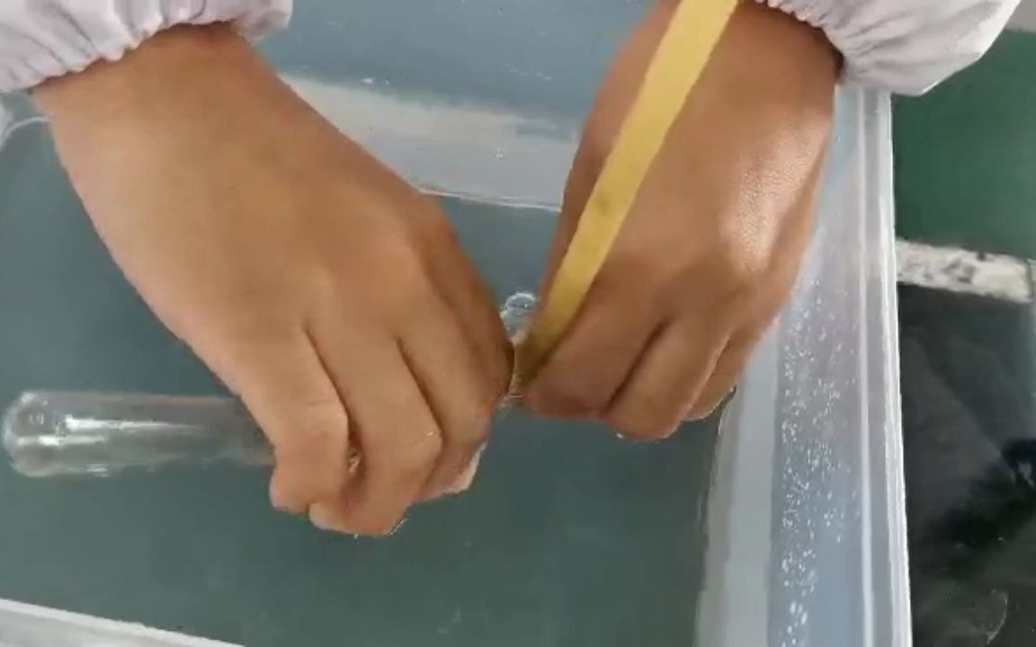 实验一双氧水制取氧气及检验