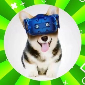雷哥玩VR本人 