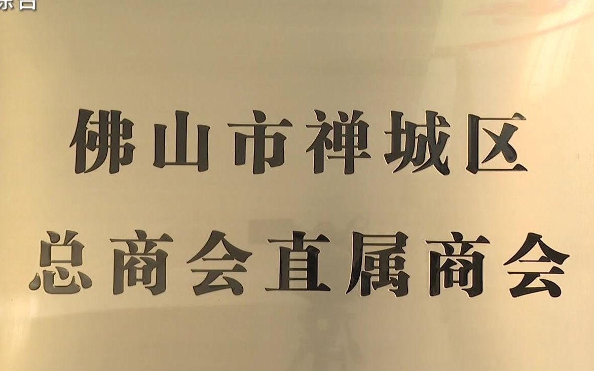 政企合力共谋发展 禅城区召开商协会座谈会