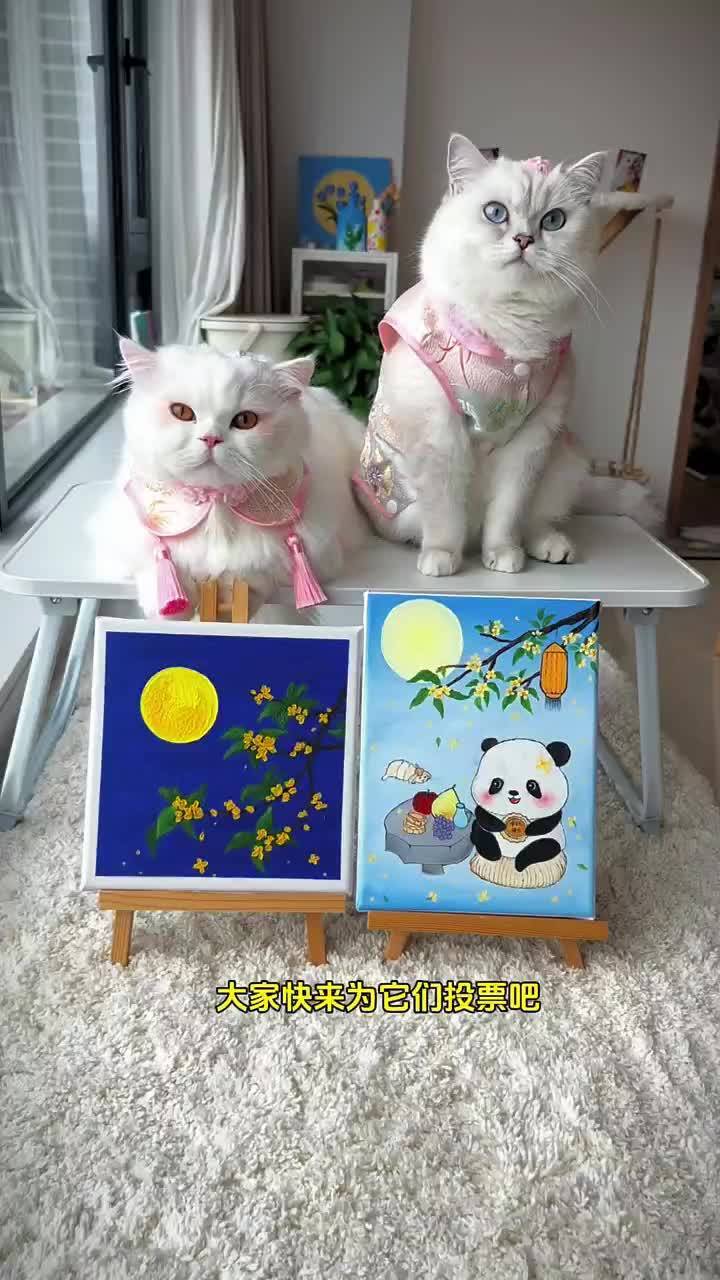 160.这次你们更喜欢谁的作品呢?#宠物的世界你不懂 #你了