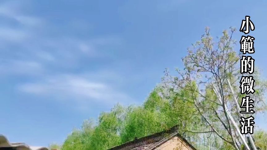 申请电子发票备好这几样材料,可以让你少走不少弯路