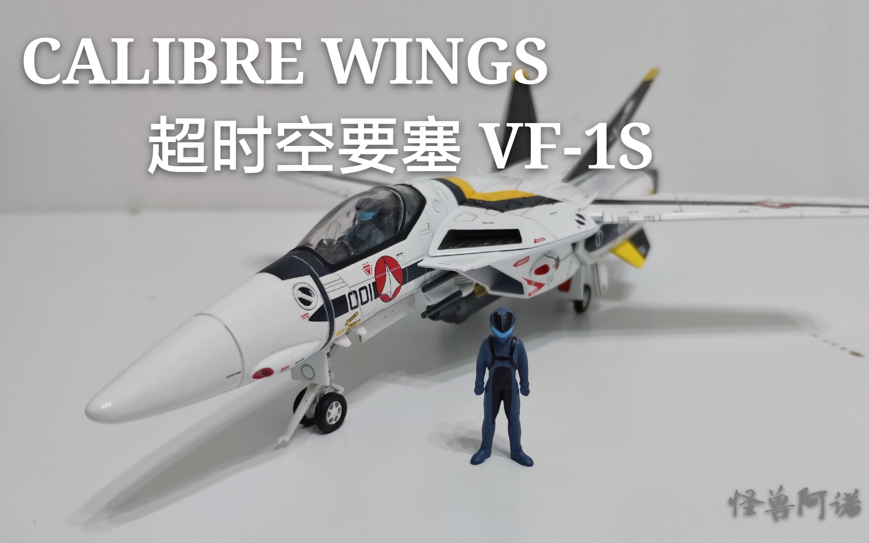 【阿诺模玩坊】Calibre Wings 超时空要塞 VF-1S 骷髅机