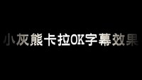 小灰熊卡拉OK字幕制作软件
