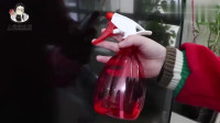 电视屏幕脏了千万别用水擦,保洁阿姨那偷学一招,擦的干净不落灰
