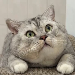 南北大街东西走 