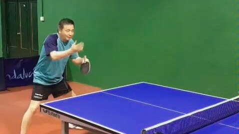 直拍正胶训练合集