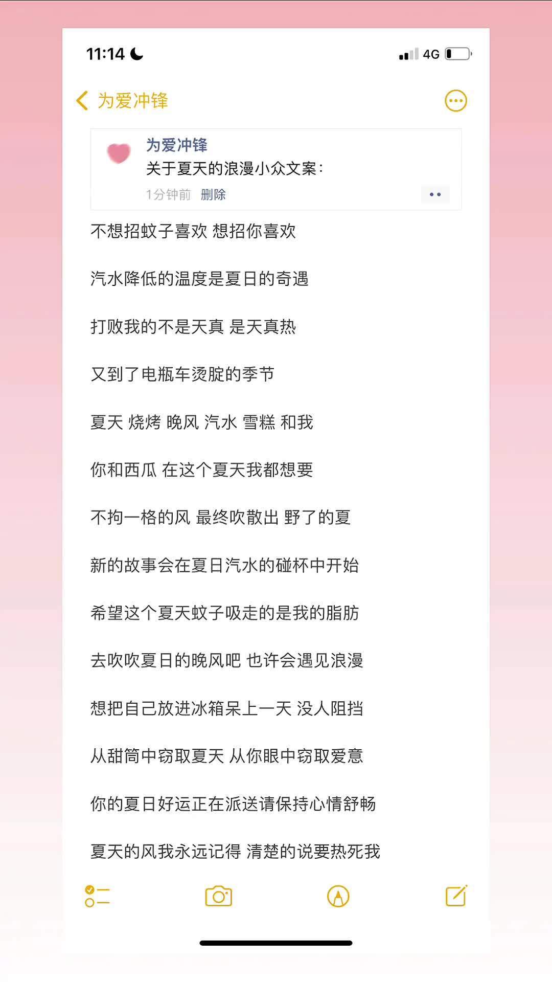 关于夏天的浪漫小众文案: