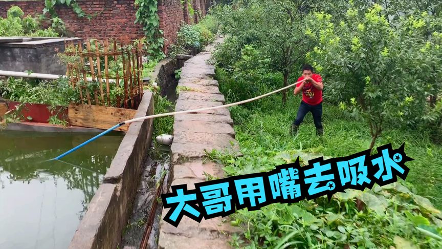 鱼池的水快满了,大哥用水管去抽水,想把鱼塘的水换一下!