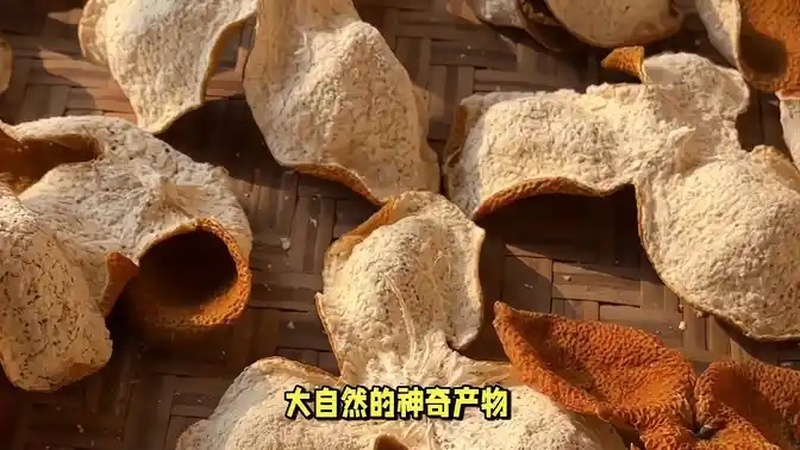 陈皮与橘子皮的差异及独特价值解析