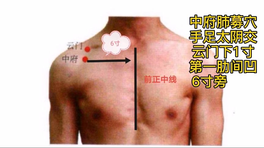 中府穴的定位主治以及助记技巧