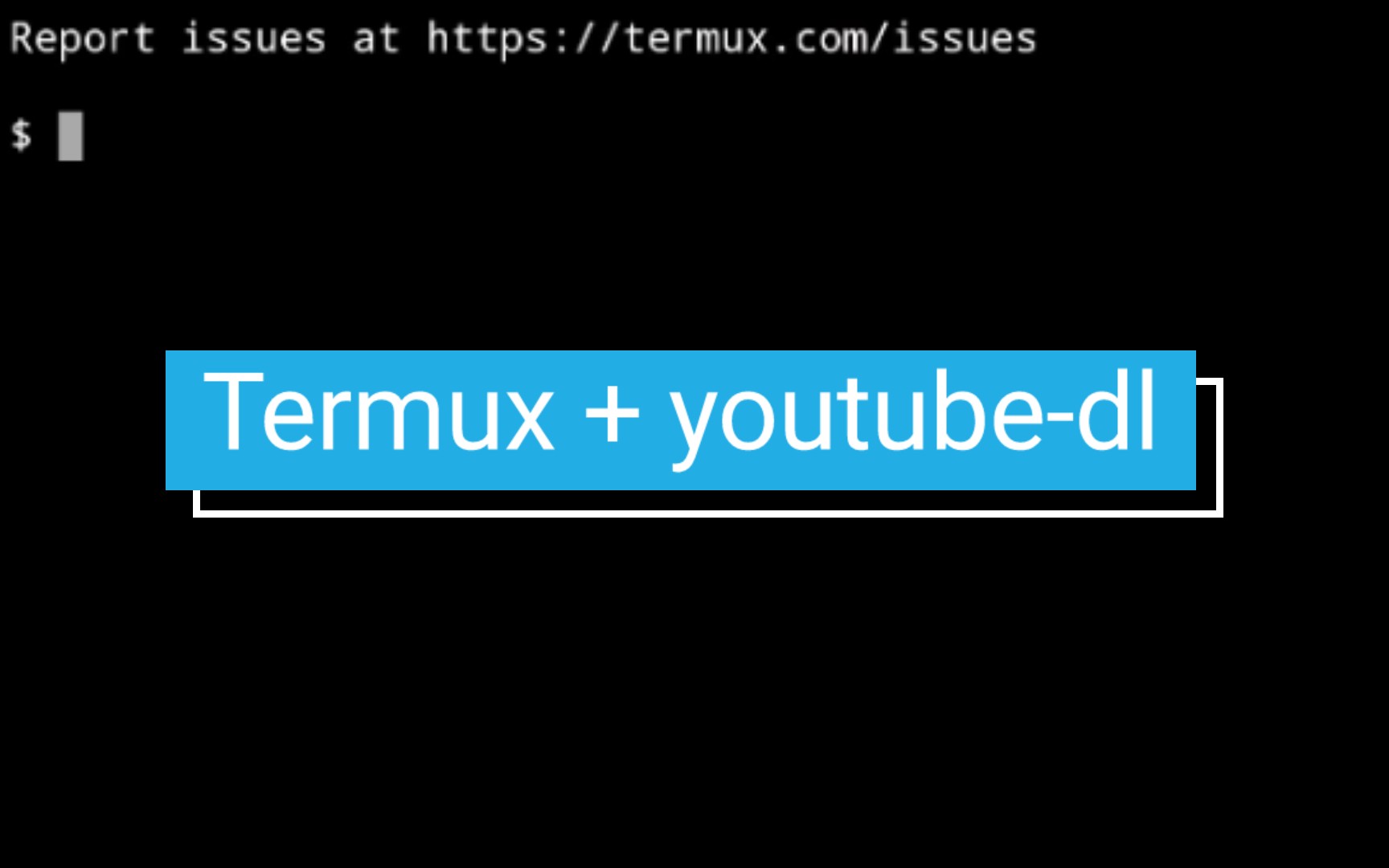 如何导出使用Termux youtube-dl下载的文件?