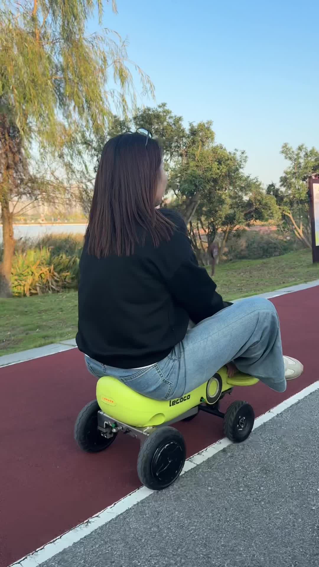 ...承重220斤,大朋友小朋友都可以玩,最高速度40码,3档调速,可以放进...