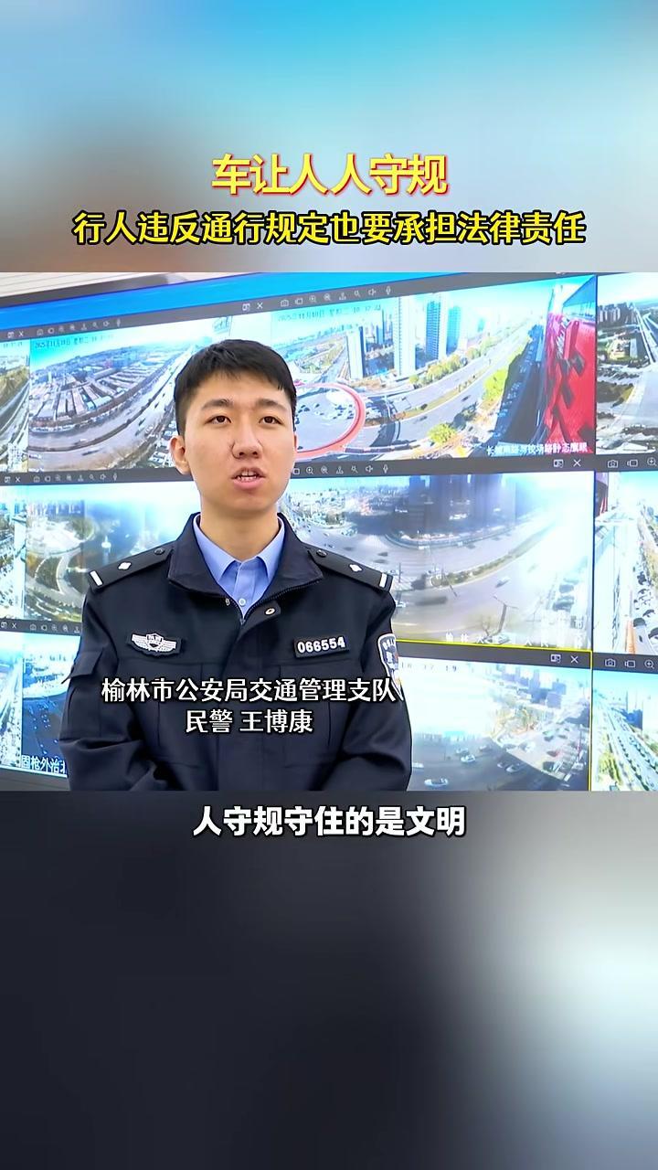 行人违反通行规定也要承担法律责任!交通安全 道路交通法 文明(记者:...