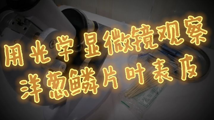 用光学显微镜观察洋葱鳞片叶表皮