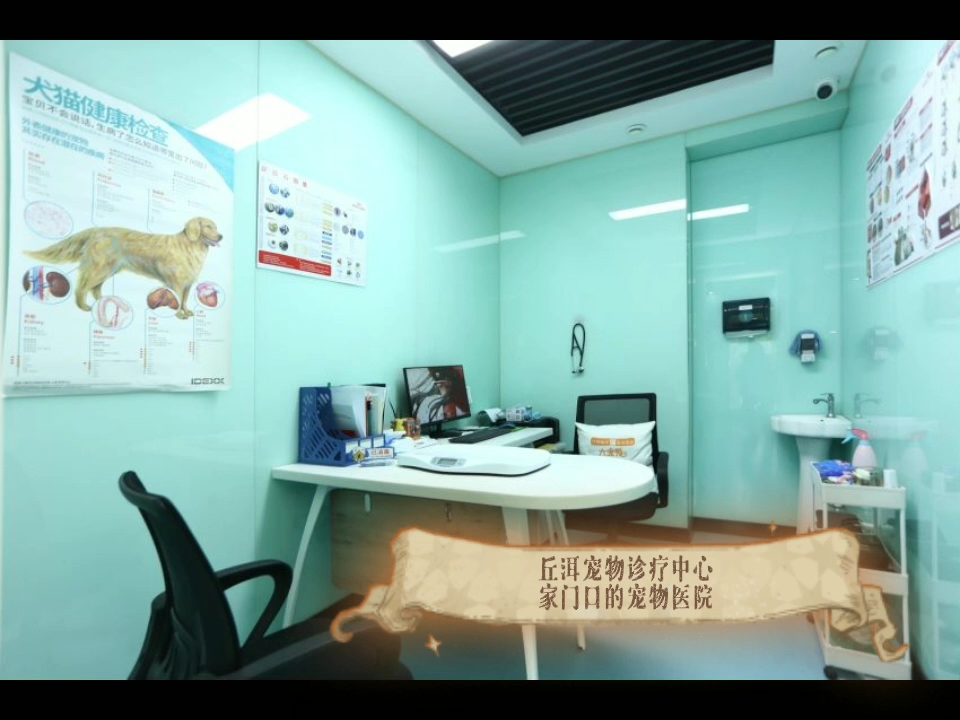 丘洱宠物诊疗中心活动期间免费体检免费项目:宠物挂号建档血常规...