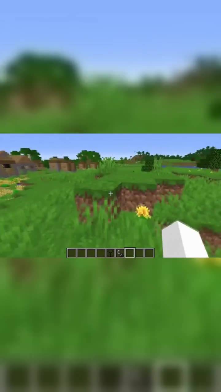 我的世界:只有一个方块大小的末地传送门!