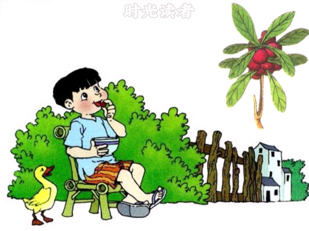 小时候我们一起读过的经典课文《我爱故乡的杨梅》王鲁彦