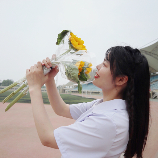 本小仙女的bilibili 