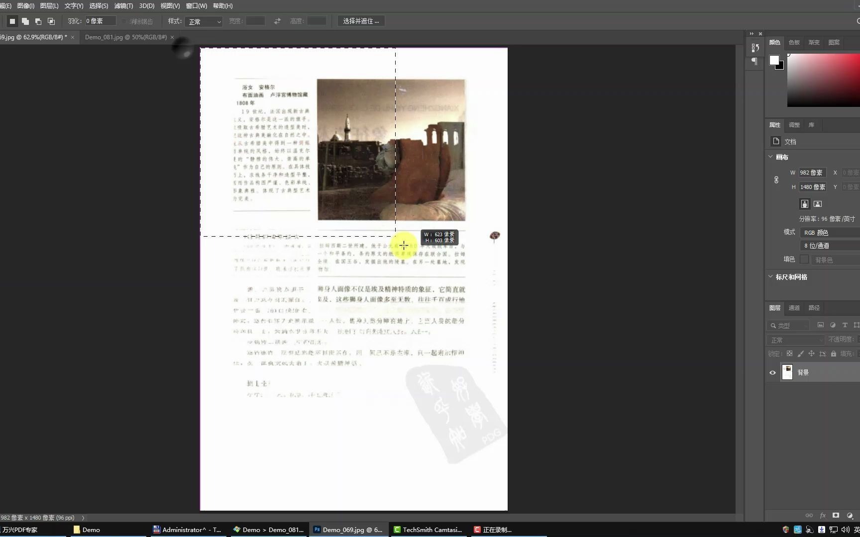 如何去除扫描版PDF文件中的水印?