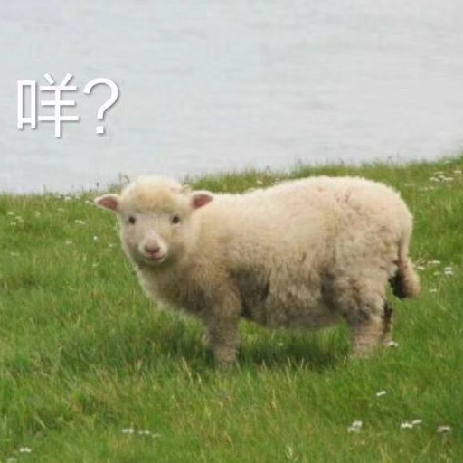 to_be小满 