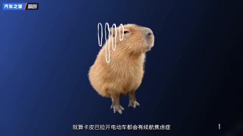 汽车之家冬测大数据 热销新能源车冬季可靠吗?谁能对抗特斯拉?