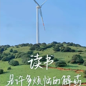 衫衫爱体育 