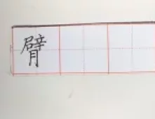 常用汉字写法,“臂”上下结构,要点在于避让关系,这样写很美观