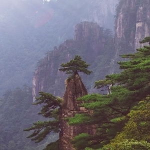 lilili老师 