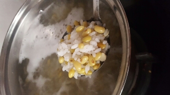 一只猪a_pig_lawyer 