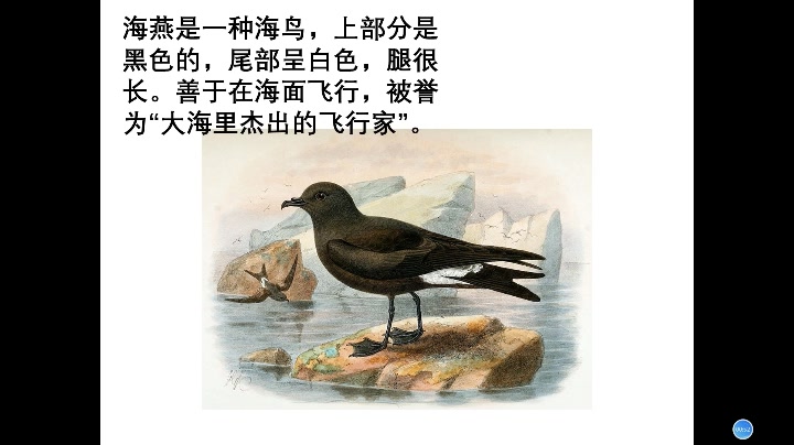 语文-九年级-海燕