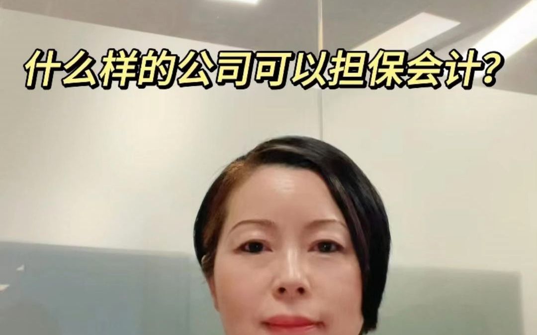 什么样的公司可以担保会计?