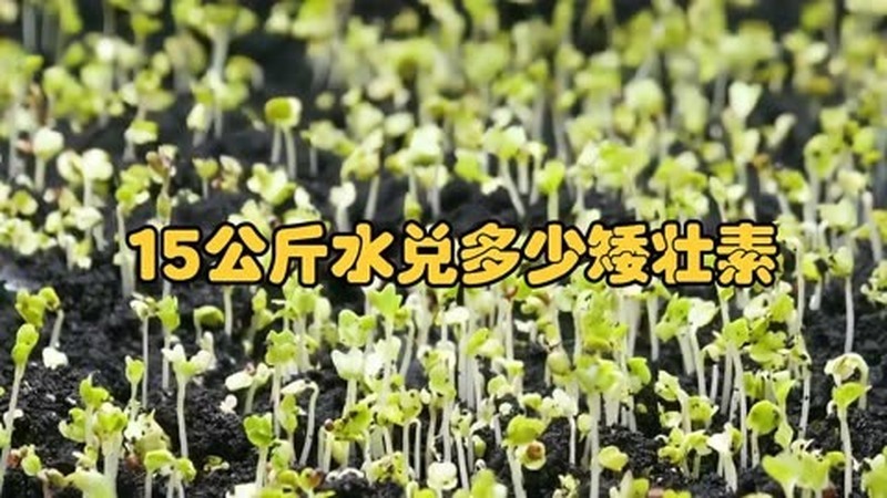 15公斤水兑多少矮壮素你知道吗,它的使用方法和用量了解一下