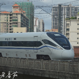 爱拍火车的蔡 