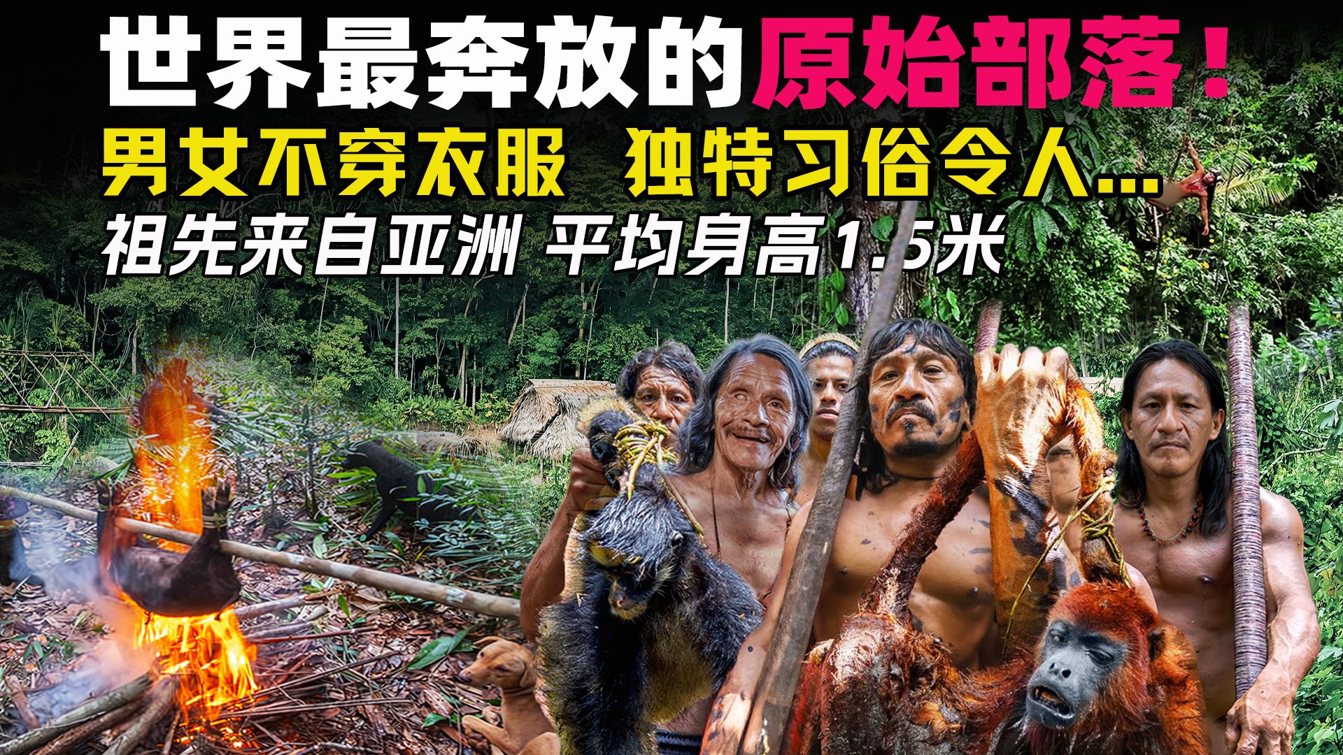 亚马逊雨林中仅剩87人的土着部落,与世隔绝数千年,这才叫真正的原始...
