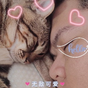 丁先生何女士 