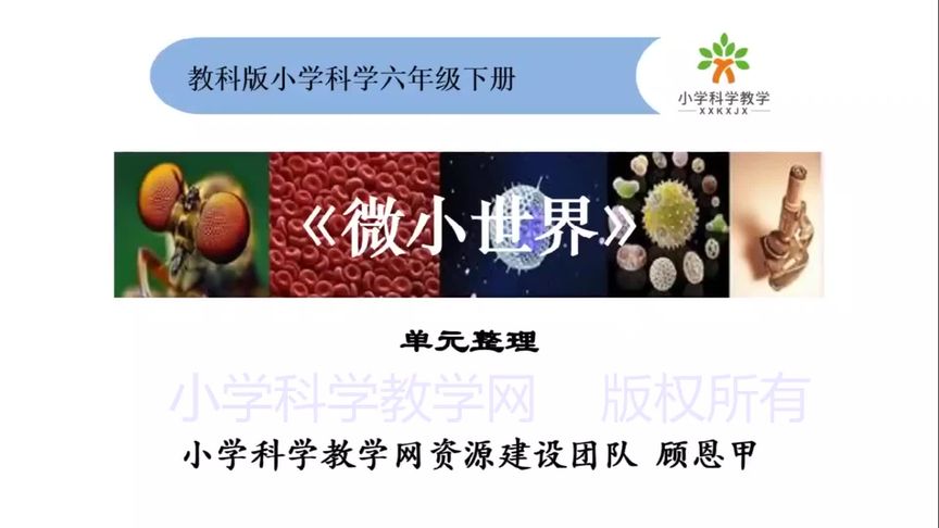 六下第一单元《微小世界》单元整理#教科版小学科学#在线学习