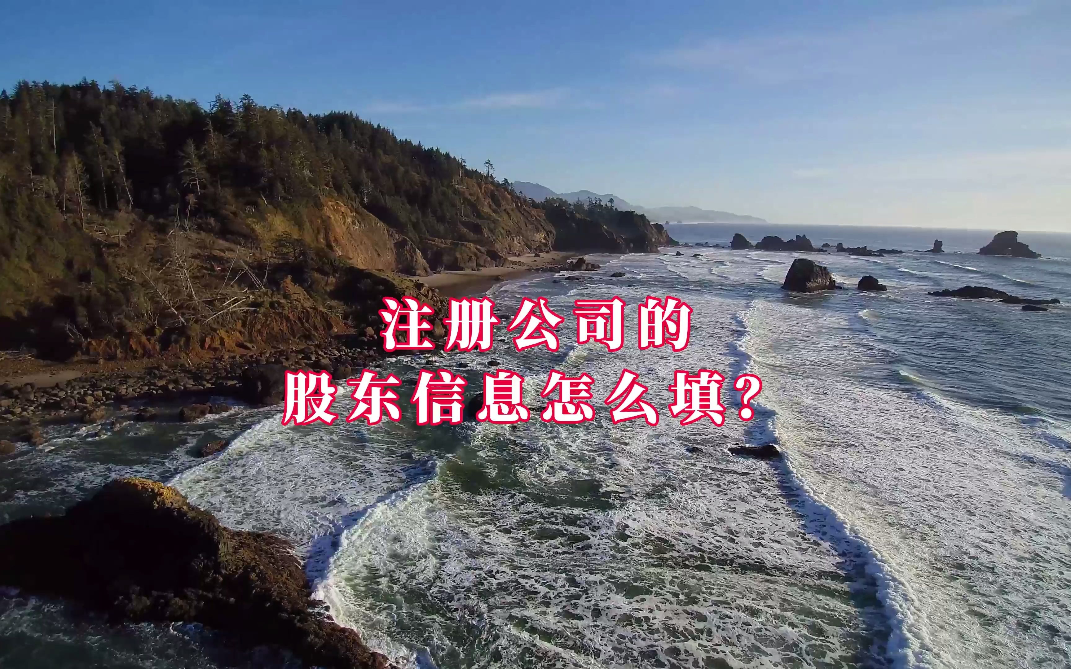 注册公司的股东信息怎么填?#公司注册 #代理记账 #税务知识