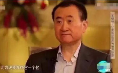 王健林 先定一个小目标 原版视频。反思