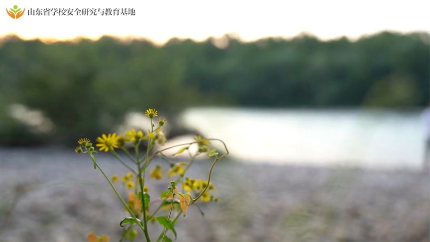中小学生防溺水教育宣传片《假如时光倒流》