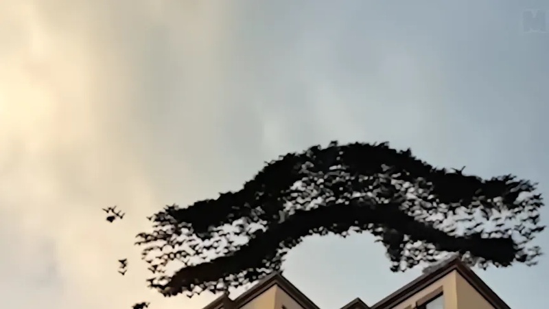 龙卷风内部的灯光那些被拍到的无法解释的离奇画面!