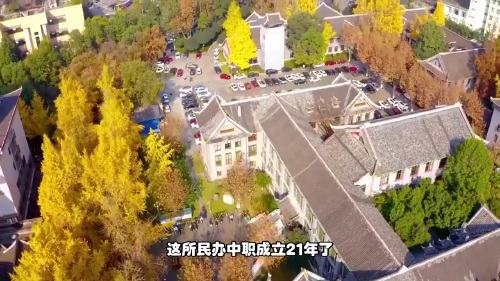 华西职业技术学校的背后故事,揭示了梦想与现实的巨大落差