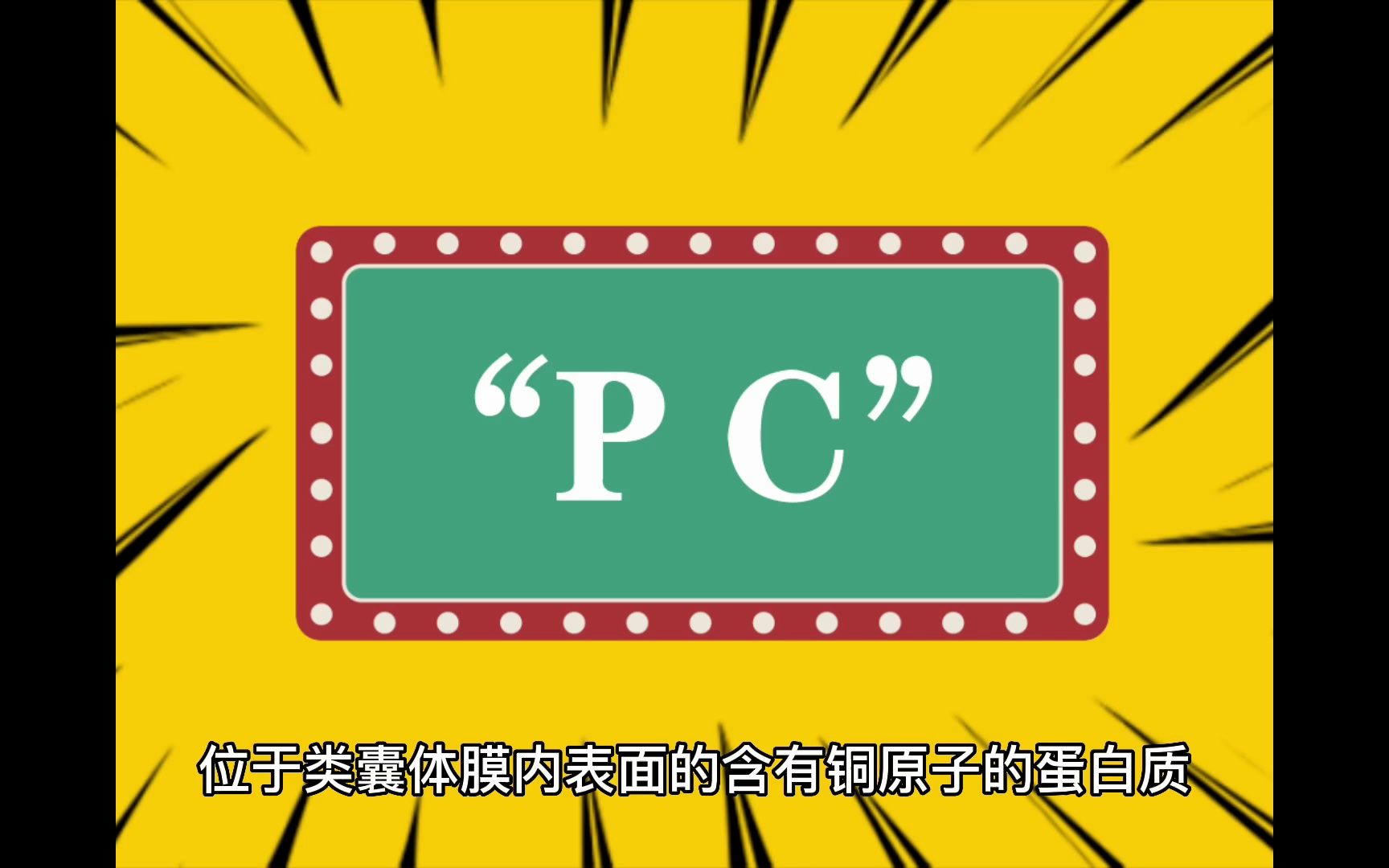 “PC”是什么意思?