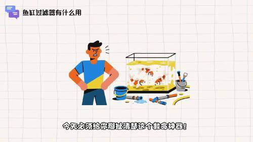 别再浪费钱!鱼缸过滤器暗藏这些保命玄机