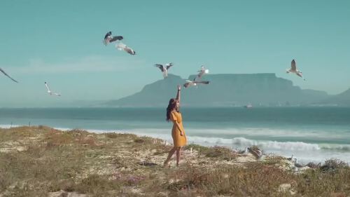 复古光效元素导入图片简直太美了有教程ae