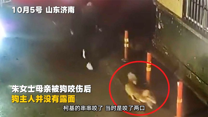 济南一市民遛狗不栓绳咬伤路人 狗主人答应赔偿却又反咬一口