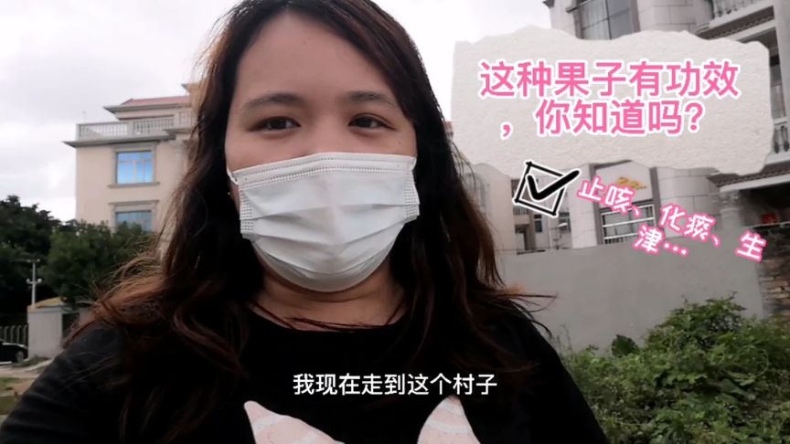 这种果子有功效,你知道有哪些?探寻村子的美味