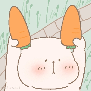 兰兰花匠 