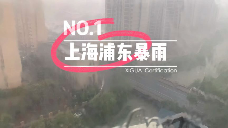 上海浦东又下起暴雨,闪电挟着雷声,一开窗雨水就往脸上滋。
