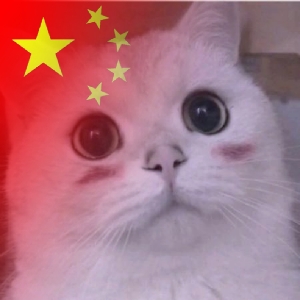 法外狂徒はBeluga 